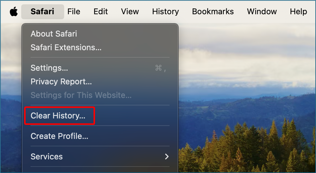 How to clear the cache in a web browser. – THERS Account Help Center